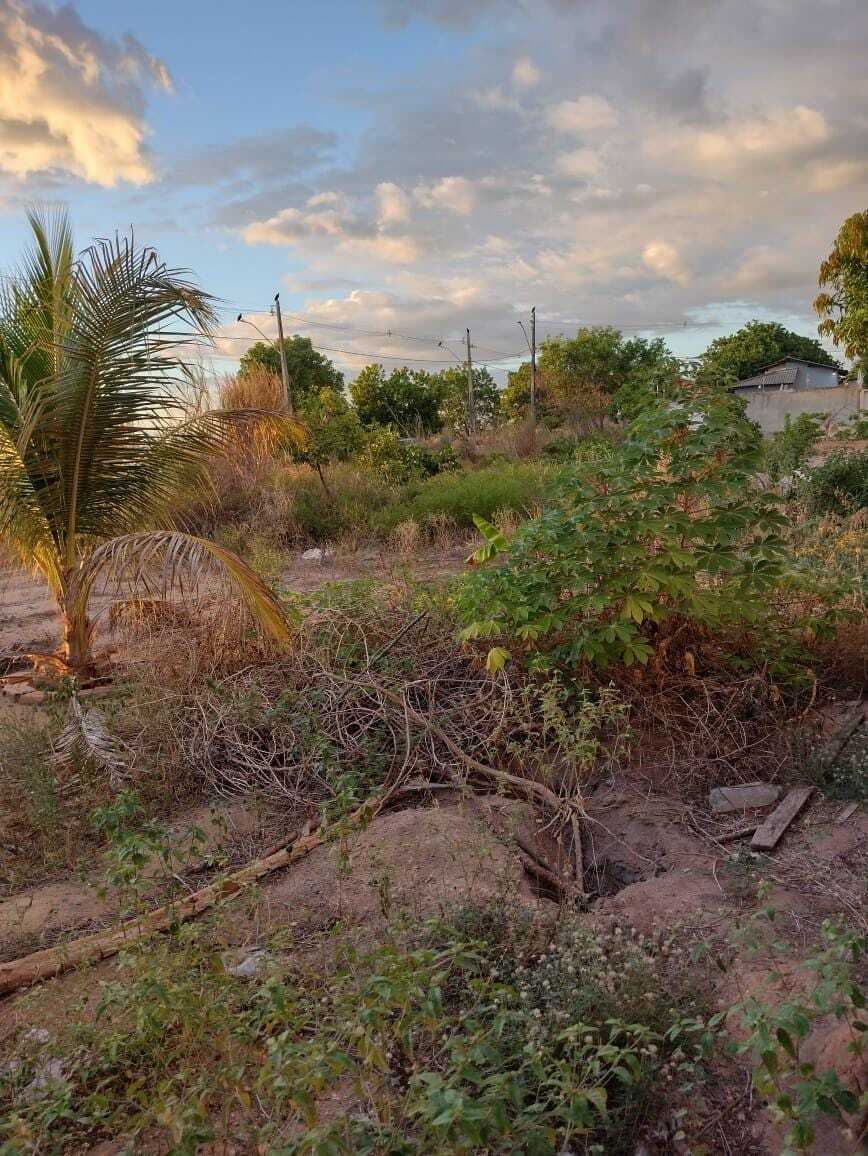 Terreno à Venda Em Boa Vista Rr
