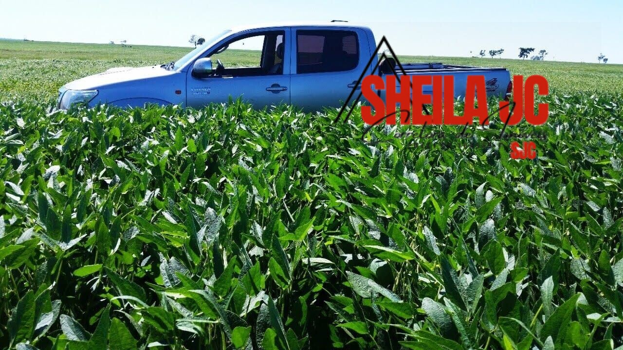 Fazenda à venda no bairro RURAL em Alto Piquiri/PR