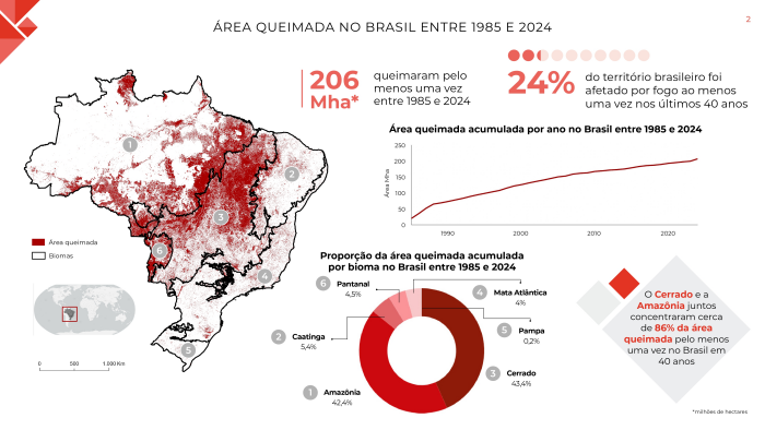 Área queimada no Brasil em 2024 supera média histórica em 62%