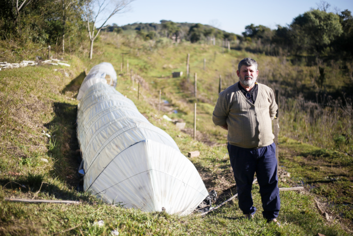 Governo Lula atrasa programa de saída do plantio de fumo