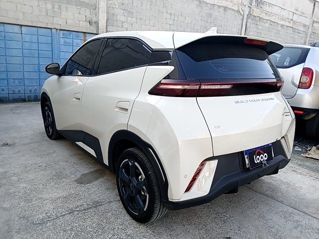 BYD DOLPHIN MINI 38 KW ELÉTRICO - Loop Revenda